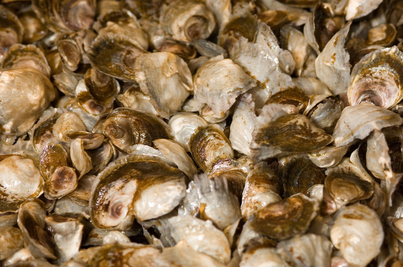 Shellfish Aquaculture Lease Transfer Fact Sheet now Available Online ...